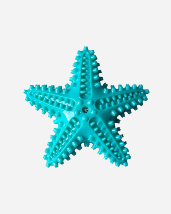 Starfish Teeth Cleaning Toy – Sits 'n' Wiggles